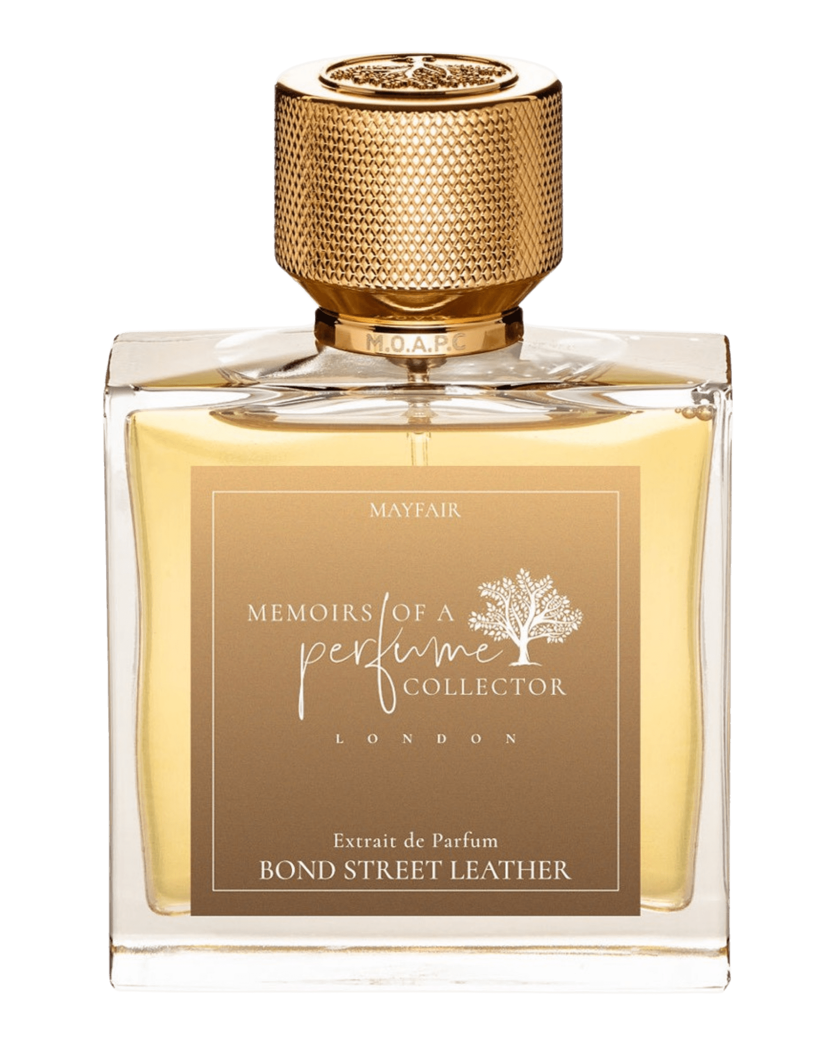 Memoirs of A Perfume Collector - Bond Street Leather – Notes